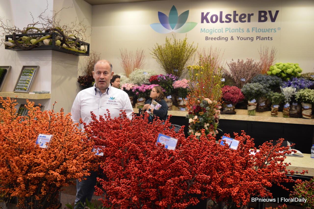 Dutch Flower Export Companies | Best Flower Site