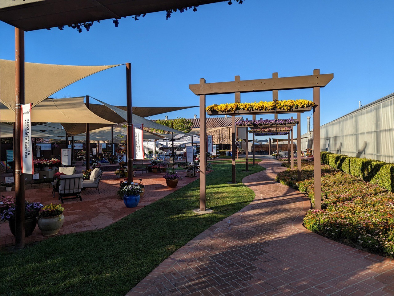 California Spring Trials