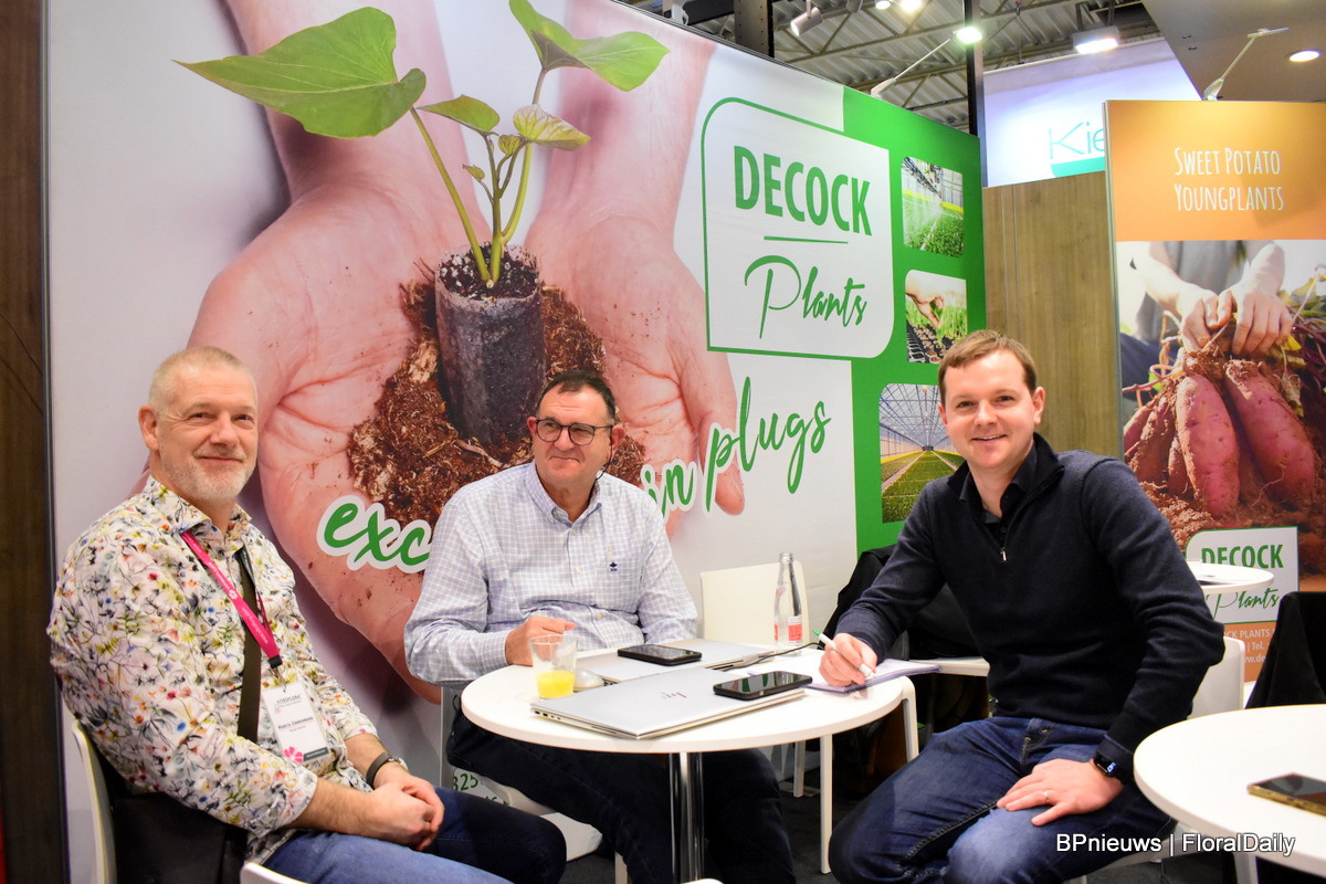 IPM Essen 2024 - Floral