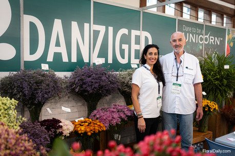 Middlemist Red flower: The world’s rarest flower