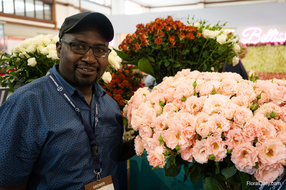 "Elegant appearance meets lasting performance in this baby-pink spray rose"