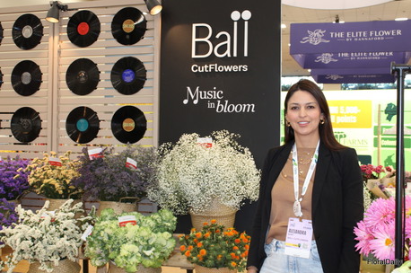 Middlemist Red flower: The world’s rarest flower