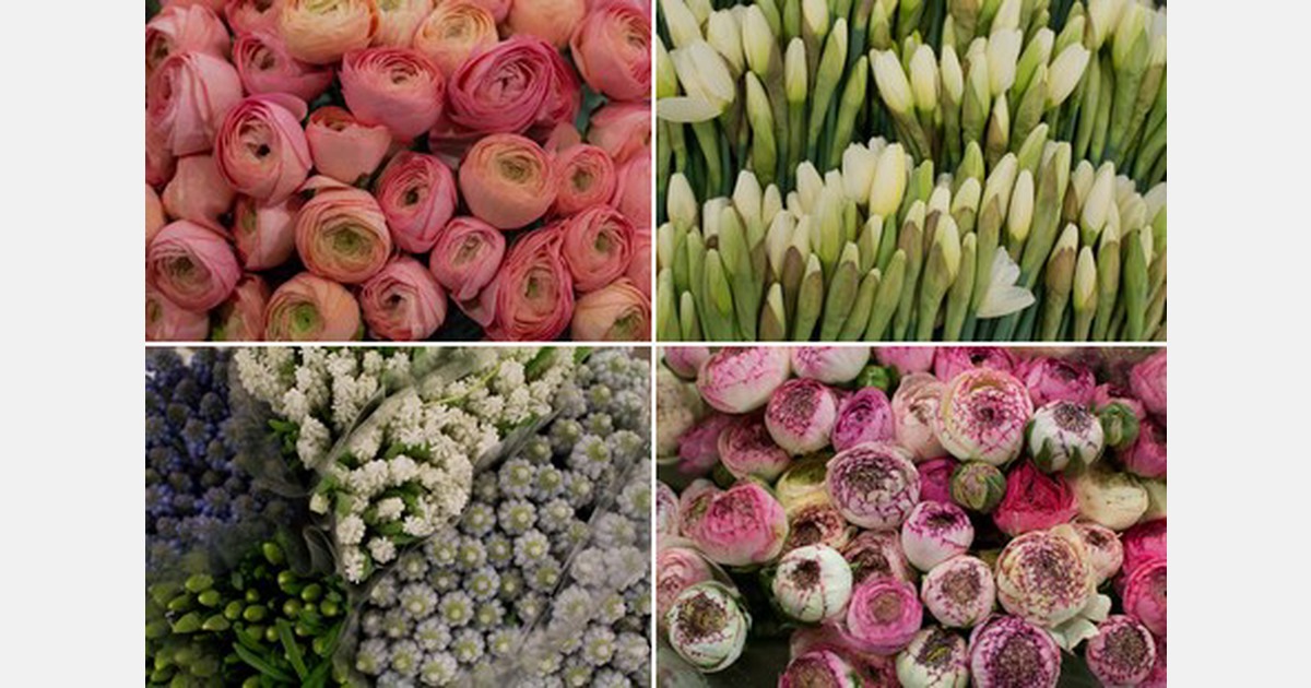 UK Easter trends: Traditional flowers with untraditional colors