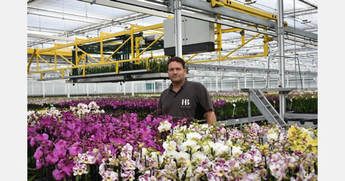 Dutch orchid grower to build its own cutting production facility