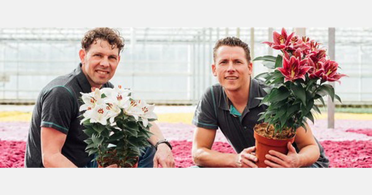 Van Schie Potlelies becomes Van Schie