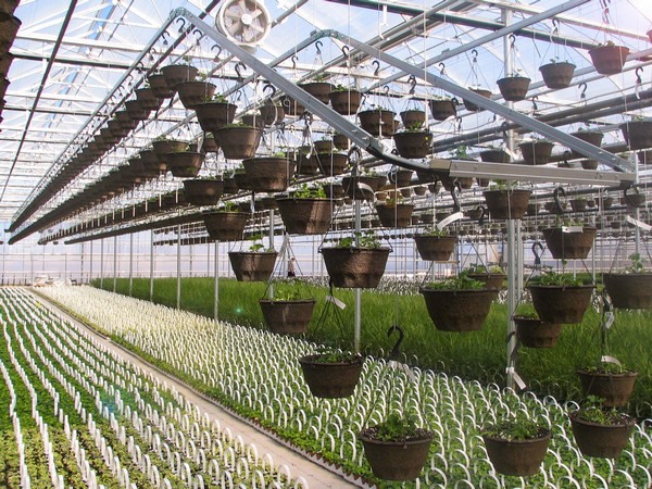 Metazet FormFlex unveils new controls for Hanging Basket System