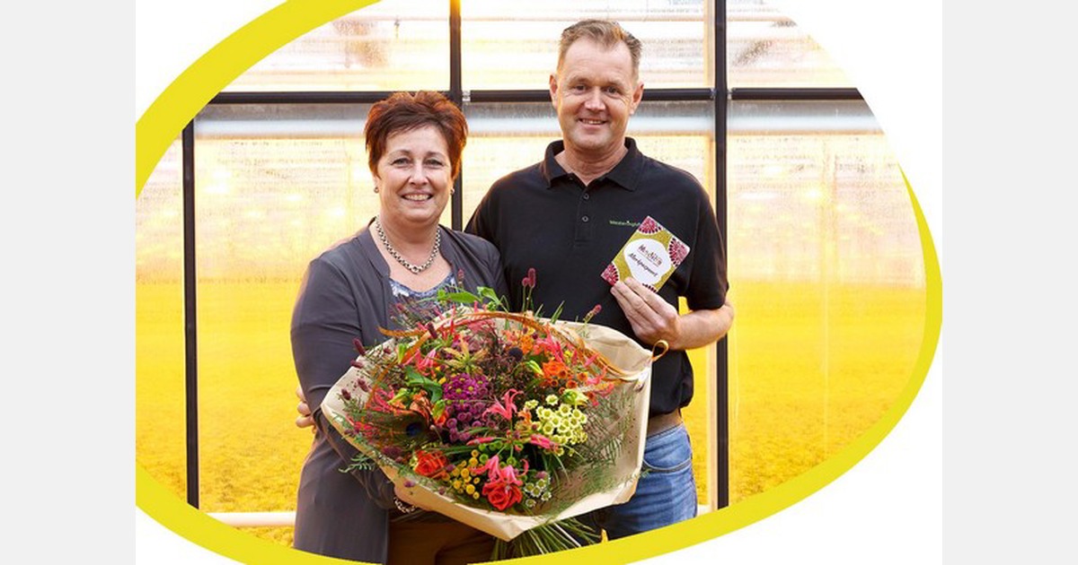 Madiba celebrates 15th birthday with new brand identity