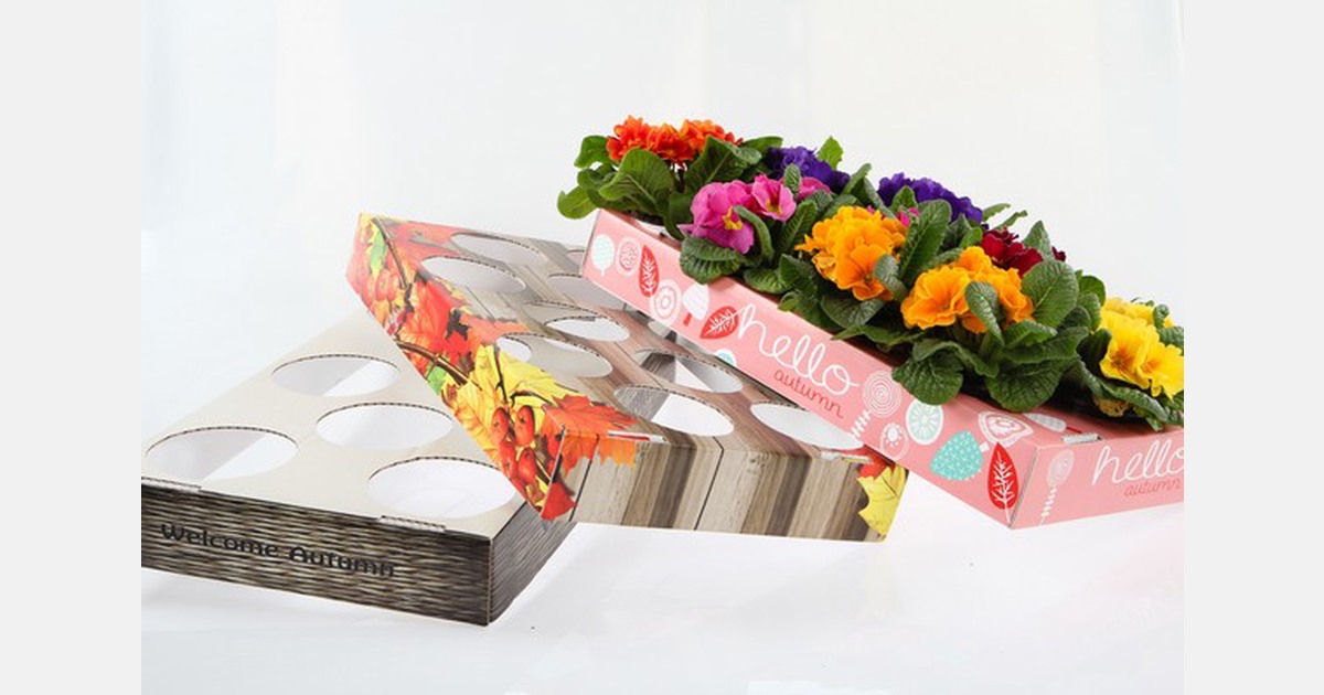 GASA Group Germany presents cardboard Retail box