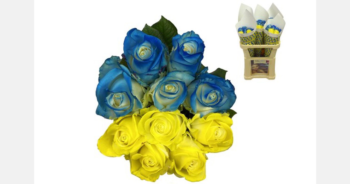 SK Roses to auction 'Ukraine roses'