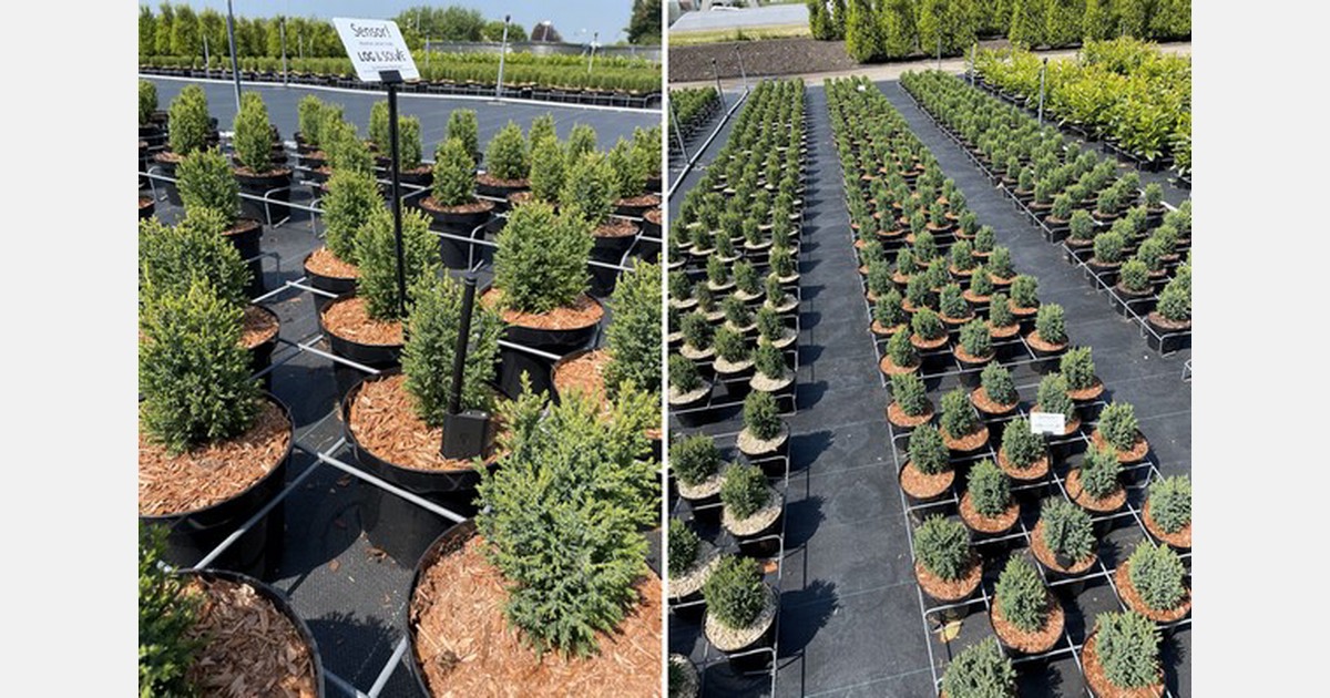 Data-driven substrate demo tree nursery shows positive result