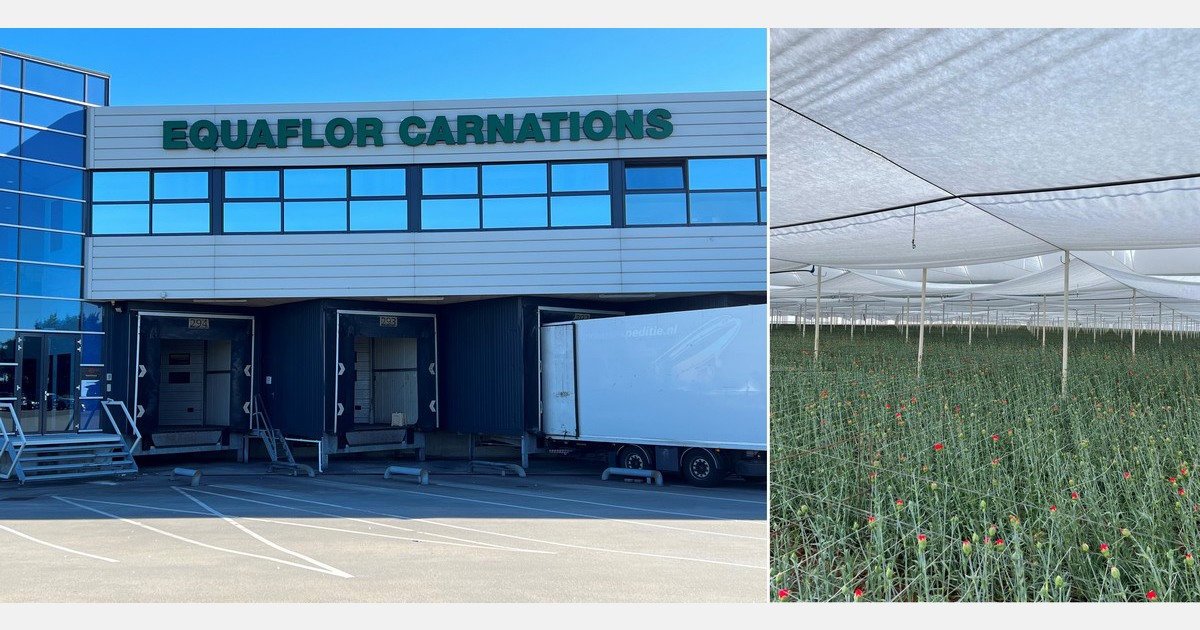 NL: "Relocation enables growth"