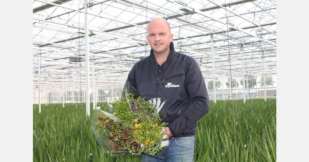 De Heufkens Freesia joins Decorum