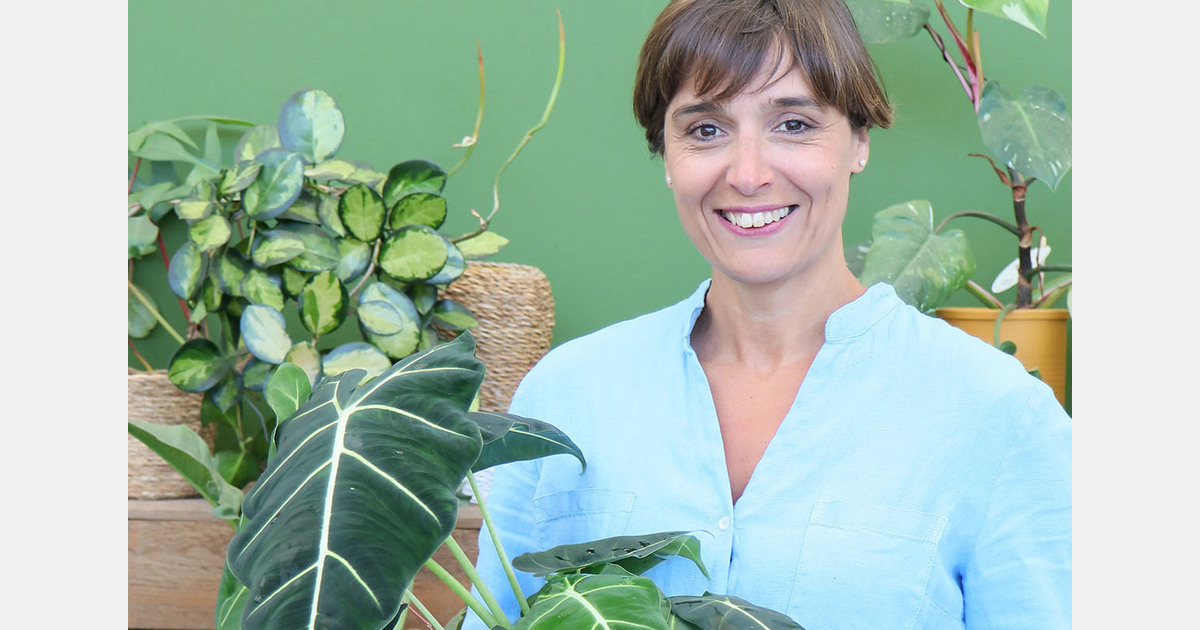 An Vander Aa new CEO of Floréac