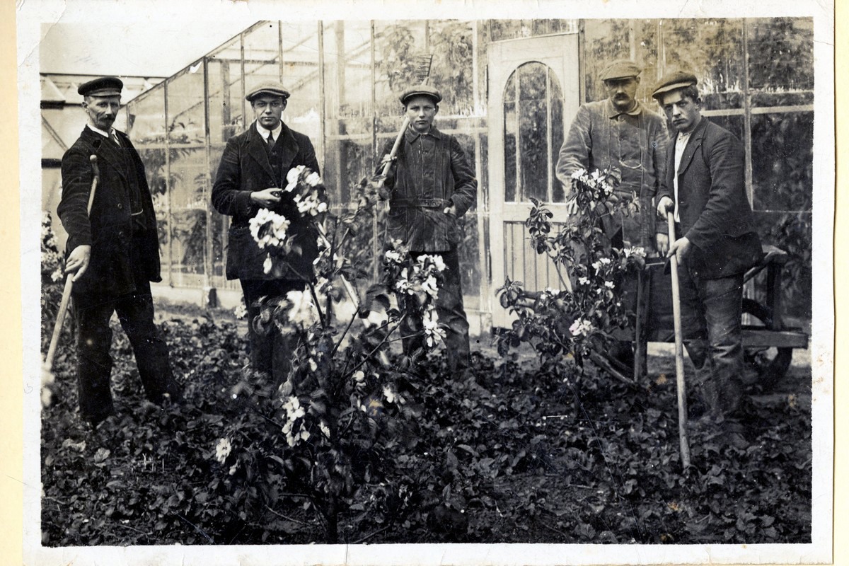 Hofland Flowering Plants to celebrate its 125th anniversary