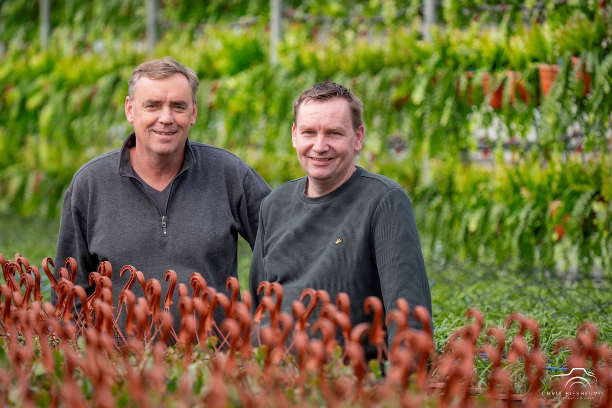 NL: Hordijk Plants acquires part of Passieplant's Rhipsalis- assortment ...