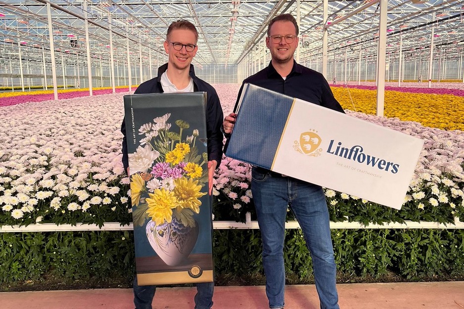 Linflowers introduces renewed flower box