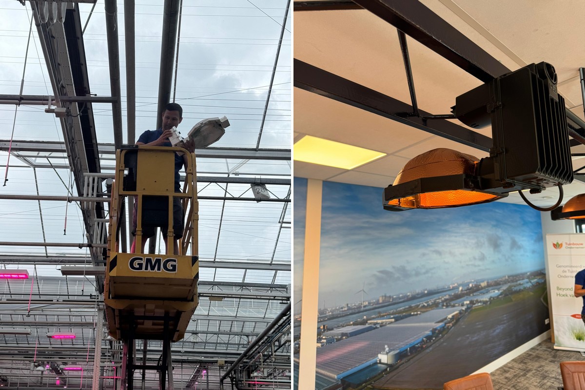 Beyond Chrysant finds a special new use for old Sont-T lamps