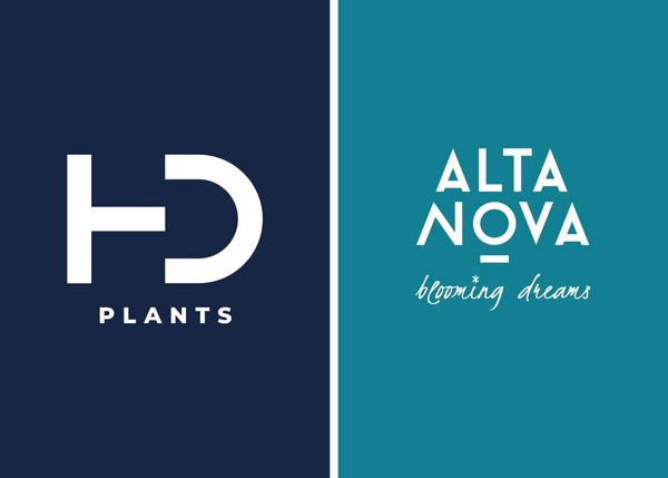 NL: AltaNova Sales splits into HD Plants and AltaNova