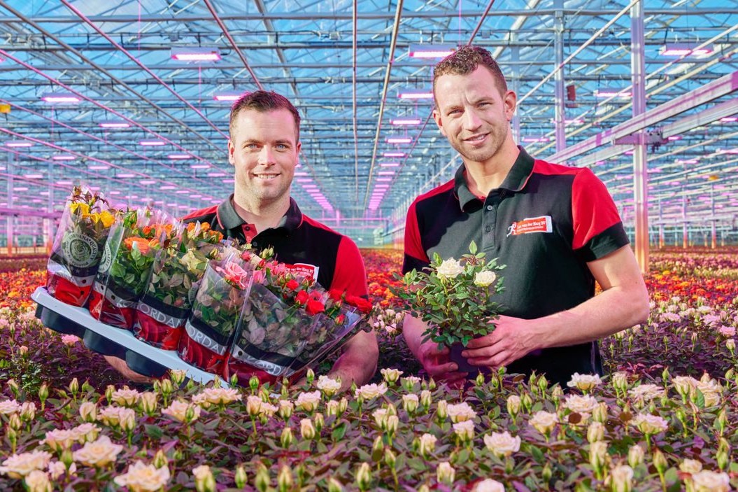 NL: Leo van der Harg expands with 1.9 ha of cultivation area