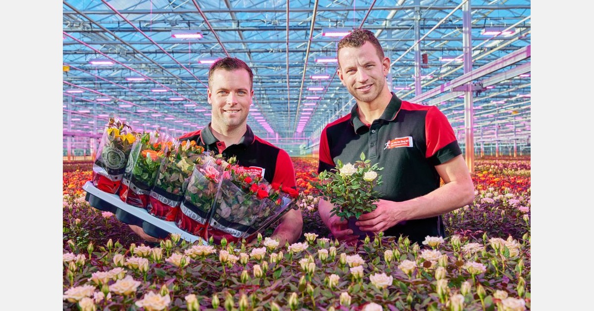 NL: Leo van der Harg expands with 1.9 ha of cultivation area
