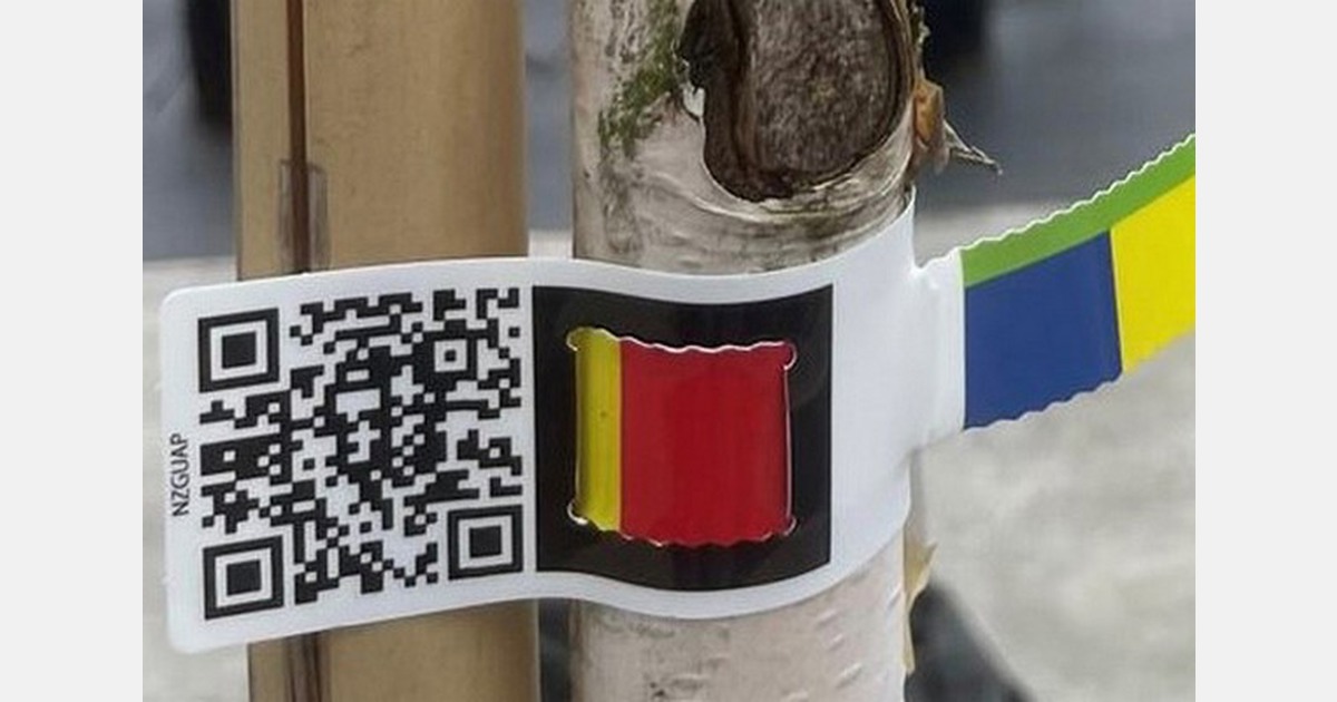 Tree-growth tape aims to give all the information needed