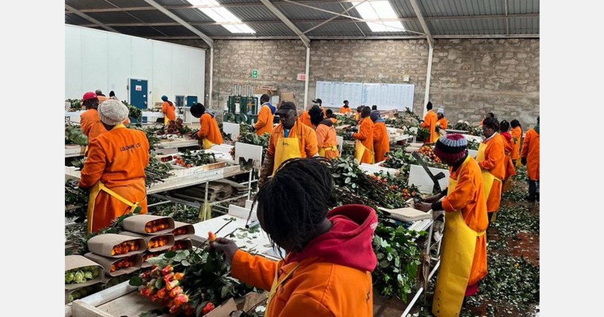 "The prolonged low production has led to considerable price increases"