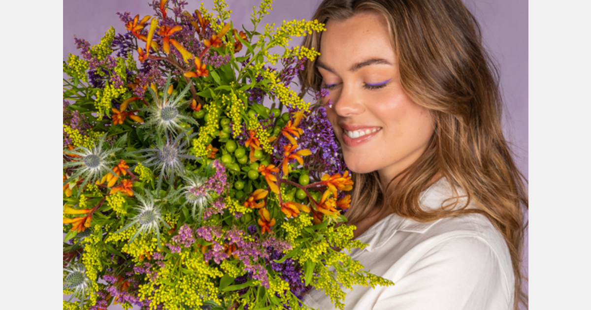 NL: "The entire Orca range can be viewed during the Meet & Greet Days"