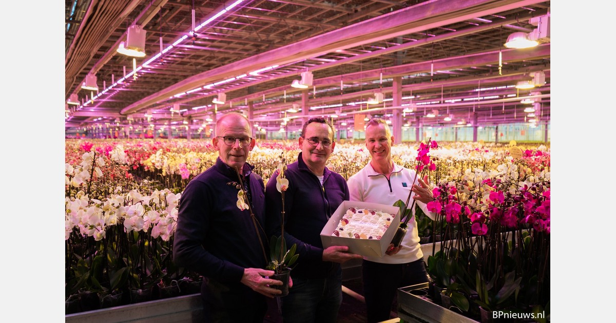 "This is a revolution in the world of orchid sticks"