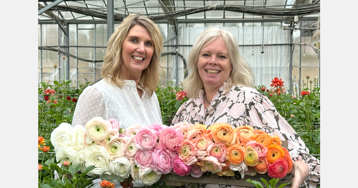 Italian ranunculus and anemones for European gardens