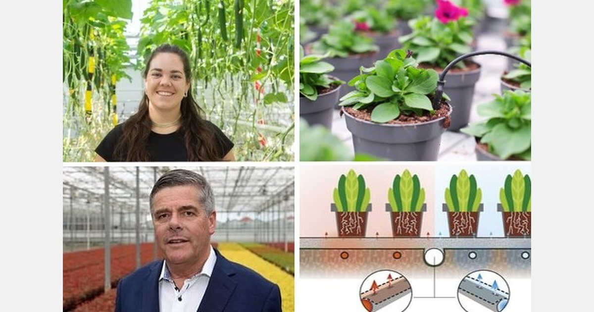 "Talking to plant helps keep crop healthy and reduce use of chemistry"