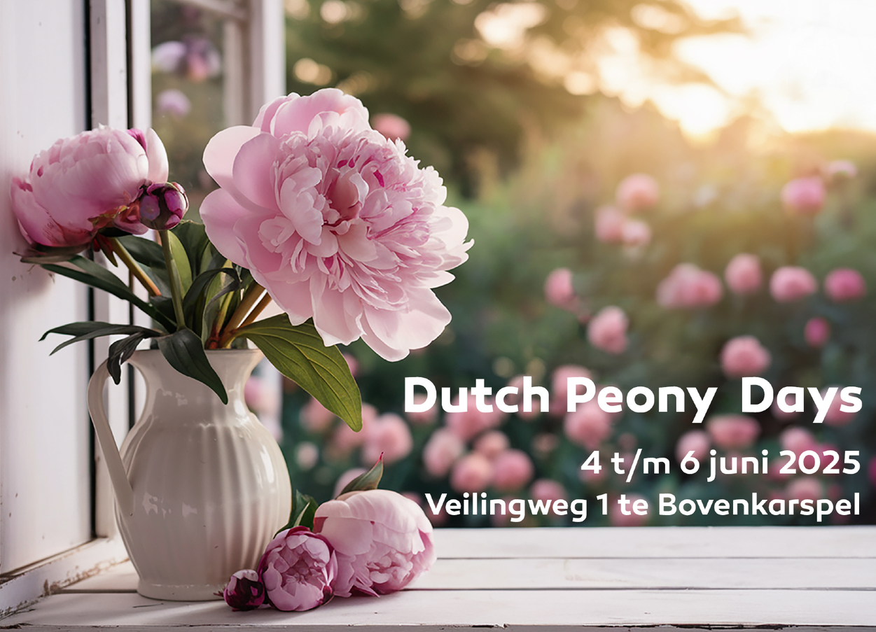Eager to discover what’s blooming in the peony world?
