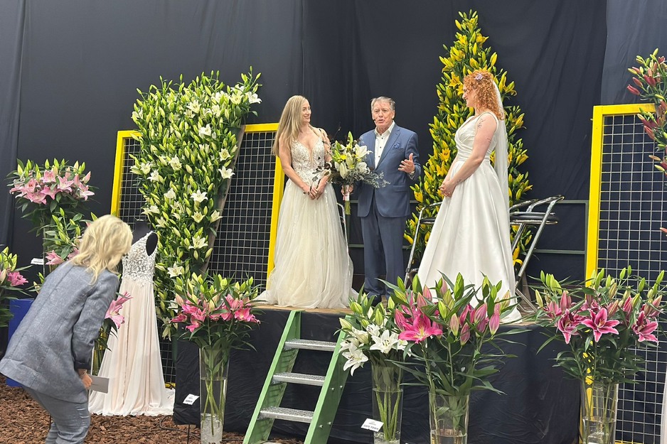 Dutch Lily Days begin: high expectations for double-flowered lilies