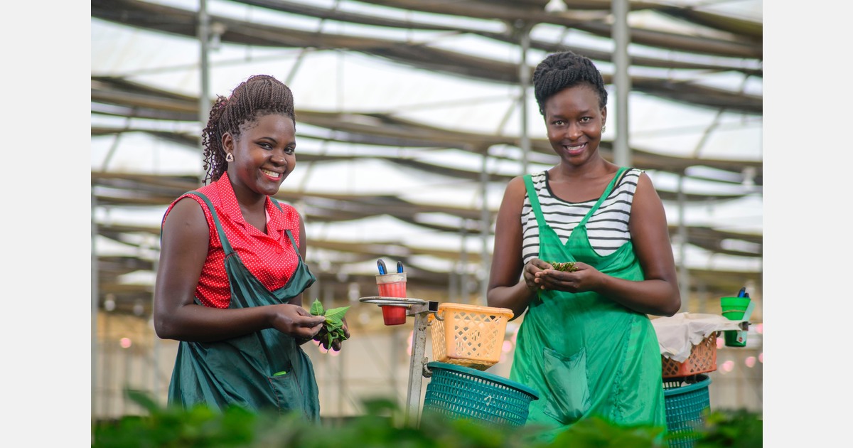 Uganda: "The Dutch horticulture sector can continue to play an ...