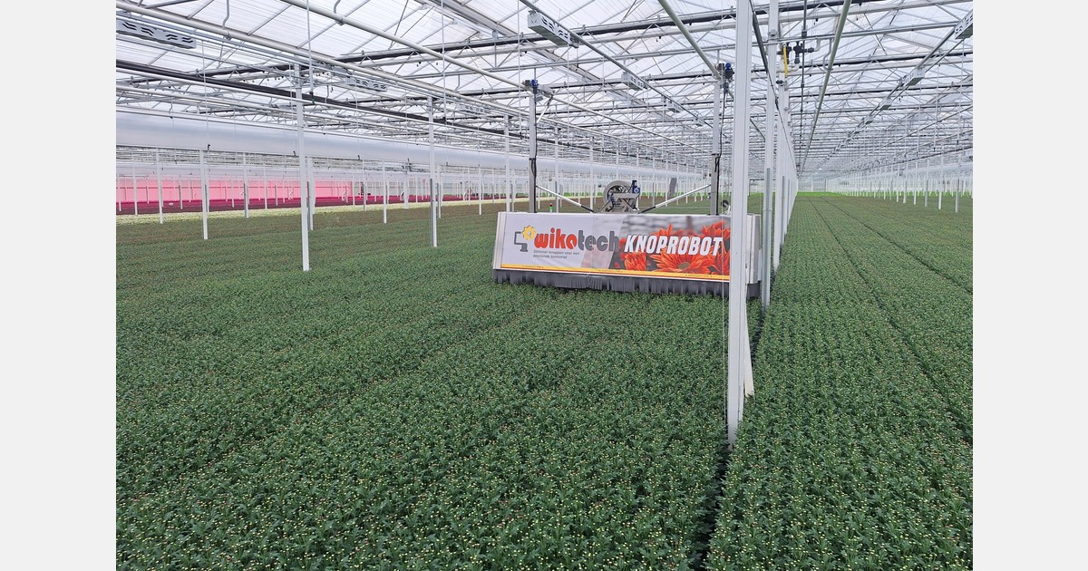 Want to see the bud robot in action?