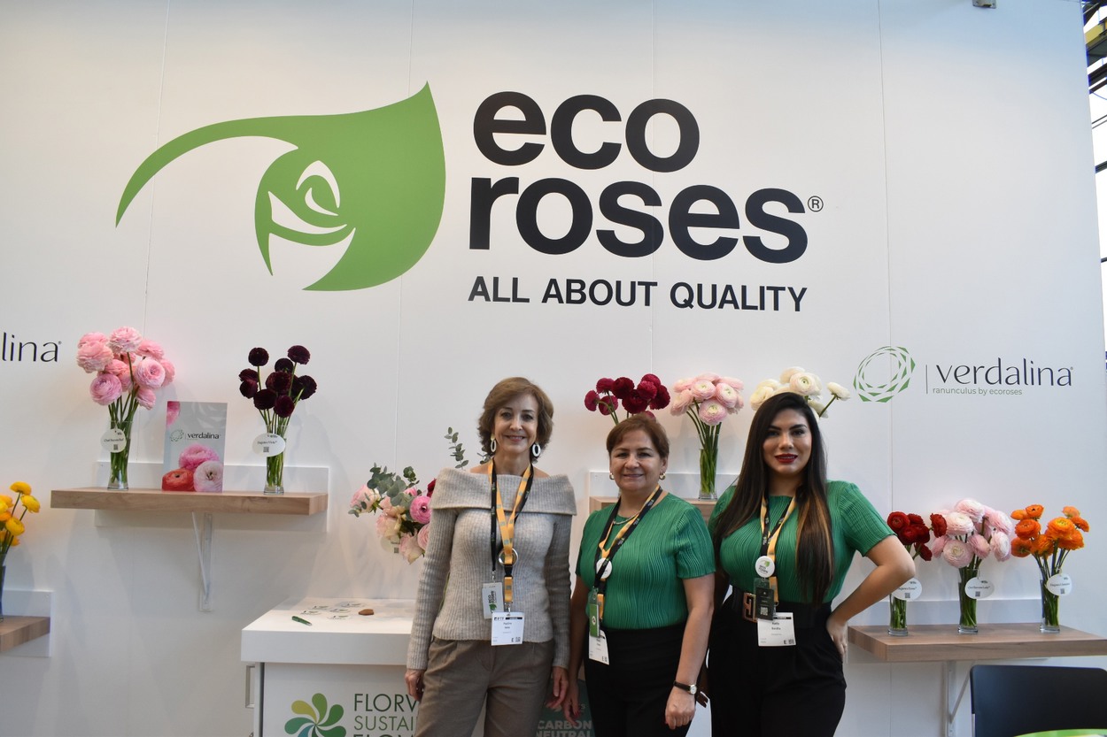 Second day of the IFTF has begun!