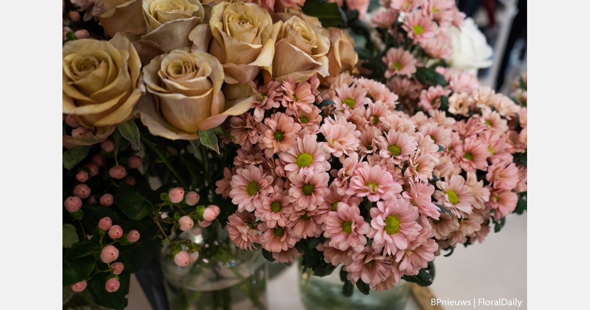 UK: HTA launches Spring content for ‘Your Garden Year’ to support the ...