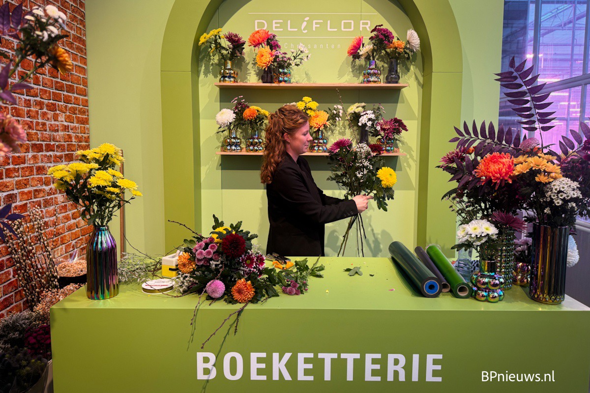 Chrysanthemum shopping at the Deli Flower Market