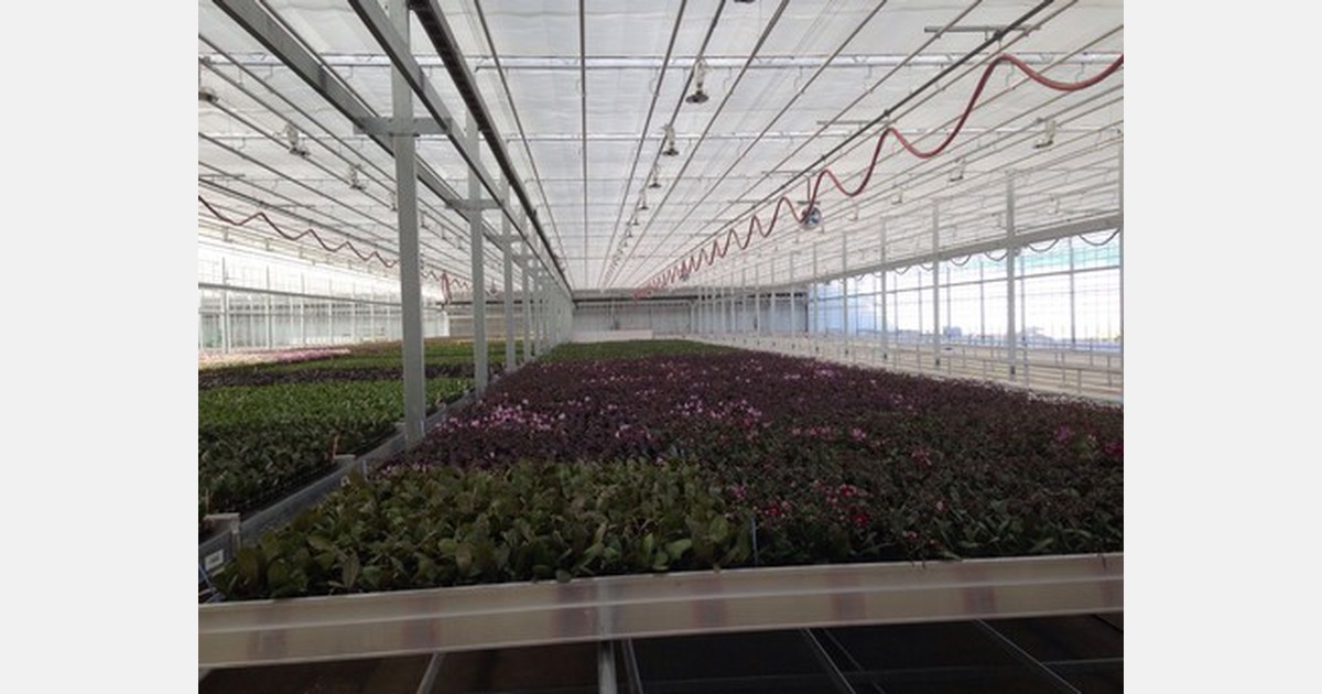 US: Two new greenhouses for Green Circle Growers