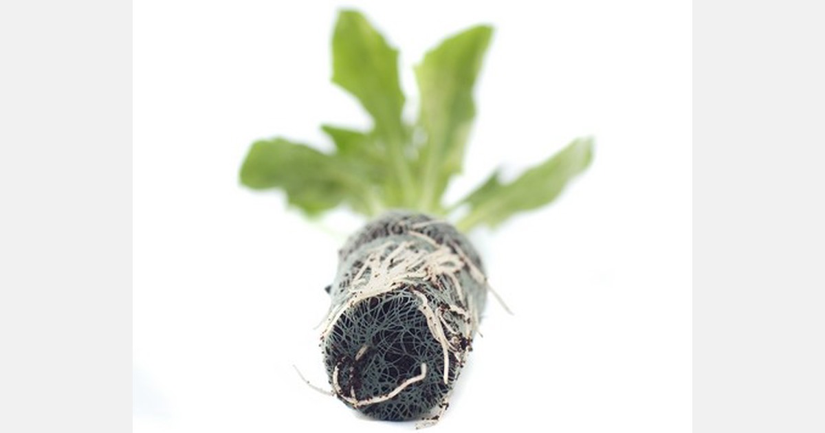 Degrasive GrowCoon with client specific fit on display at IPM Essen