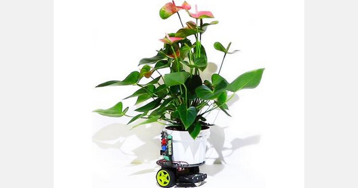 The rise of the cyborg plants