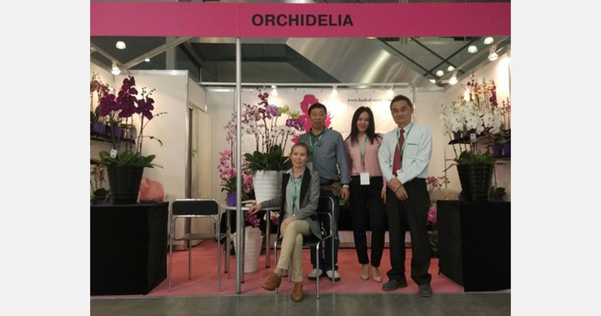 Russia: Growing unusual orchids in Siberia