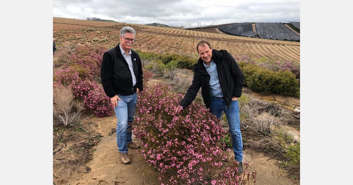 Helix Australia kicks off American planting programme