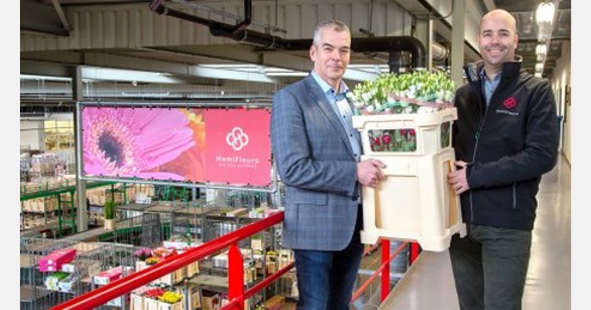 Royal FloraHolland rolls out new flower bucket