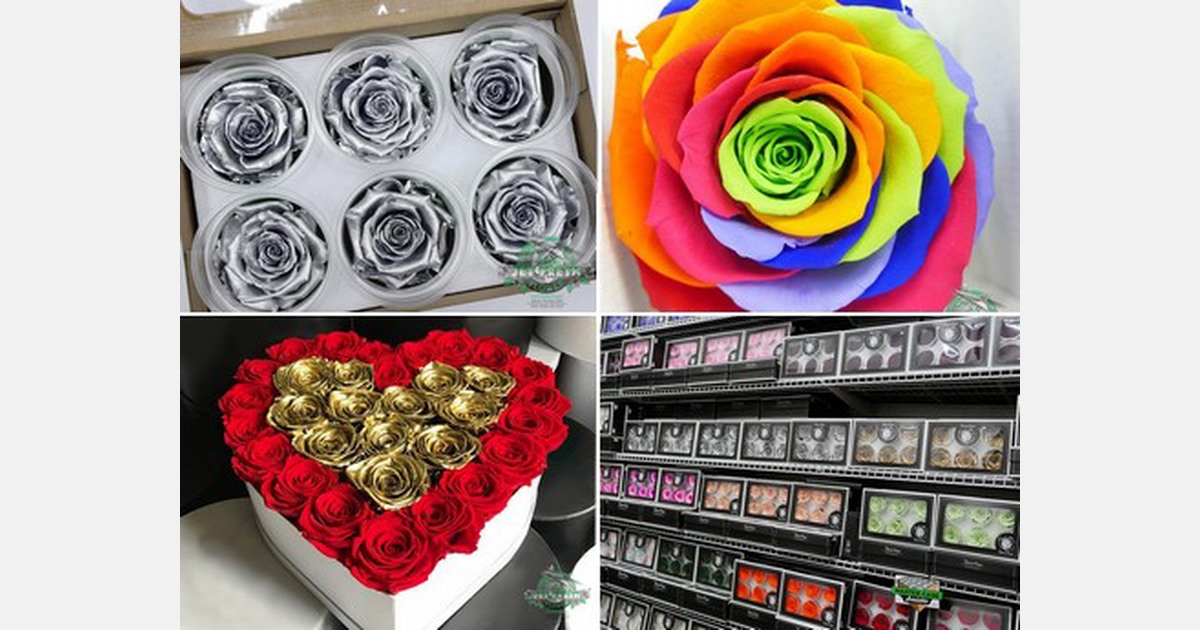 US (FL): Jet Fresh exclusive Florida distributor of Rose Amor preserved ...