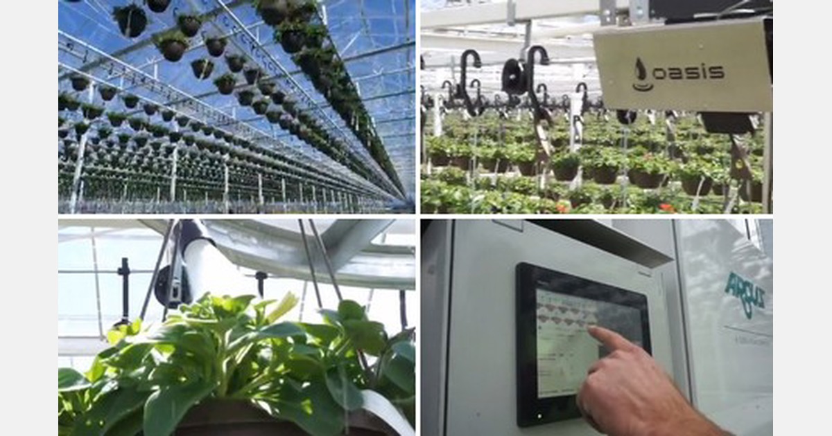 OASIS watering system spreading wings