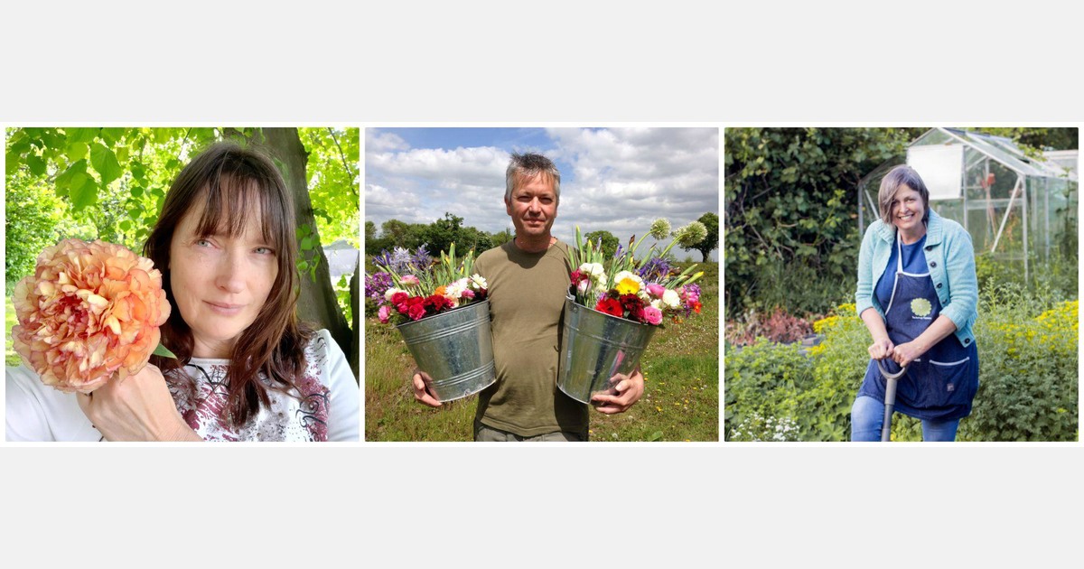 Flowers from the Farm Midlands celebrate British Flowers Week BBC ...