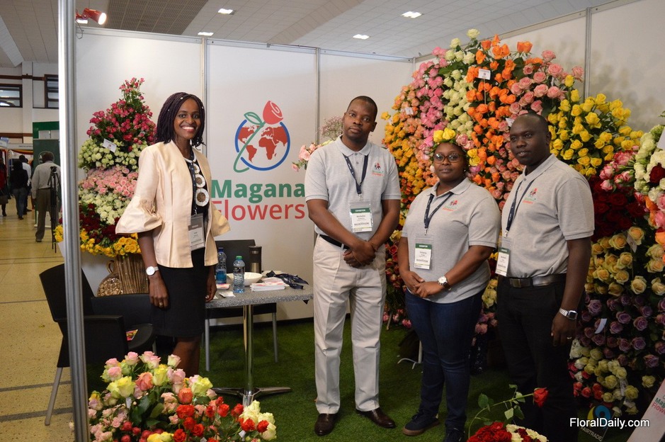 Kenya: Magana Flowers rebrands with target on new markets, customers ...