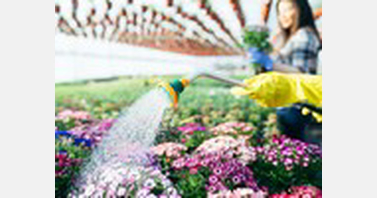 UK: Blue Diamond targets £200 million turnover within five years