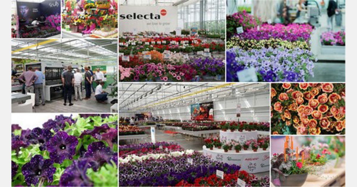 Selecta One looks back at FlowerTrials with new plants and tech