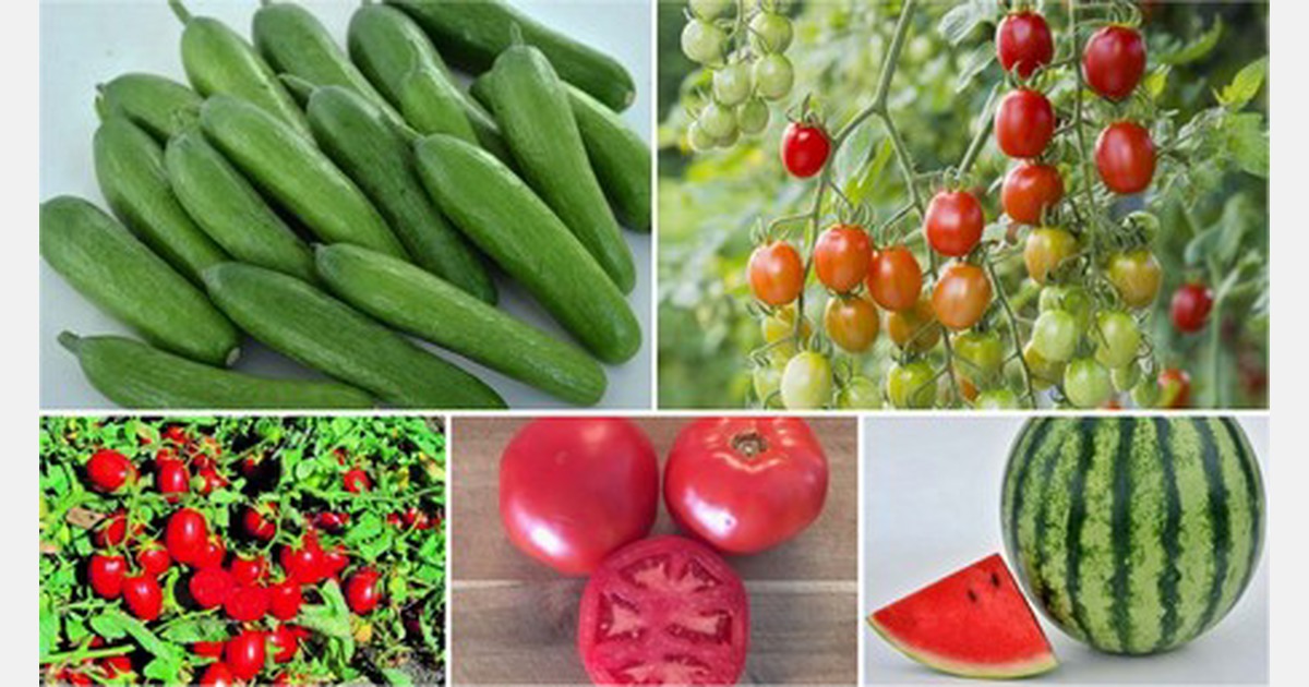 US: Five new edible varieties earn AAS Winner designation